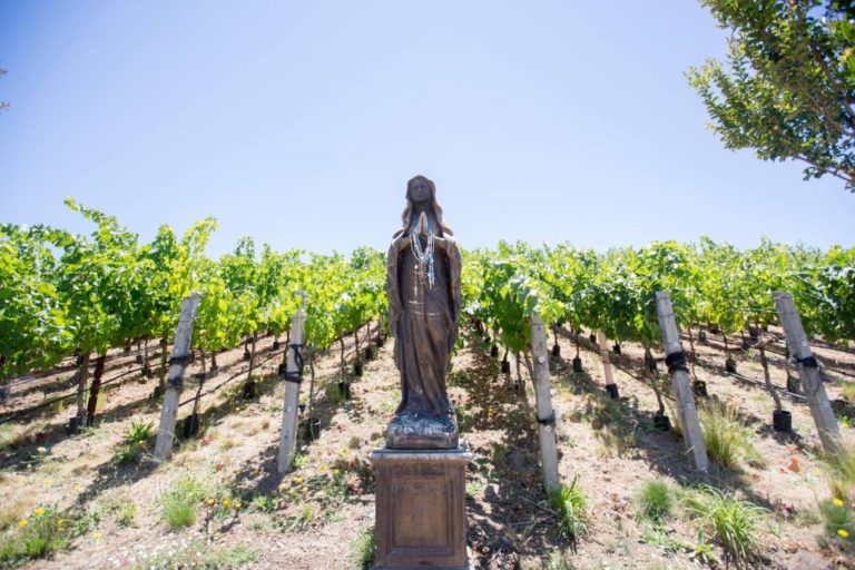 Amazing Parish at the Napa Institute 2019 - DeSales Media